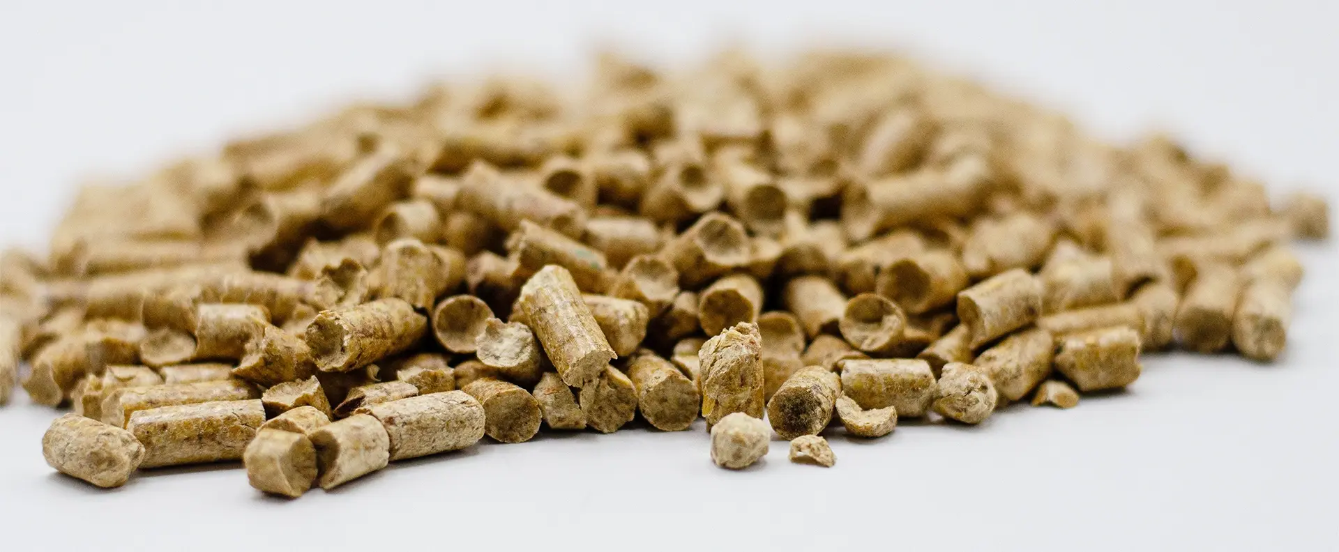 Pellet - Linha Atual